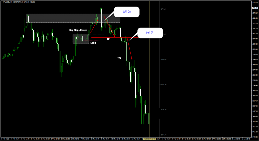 เปลี่ยนทางเลือกจาก Stop loss มาเป็น Hedging - Traderider