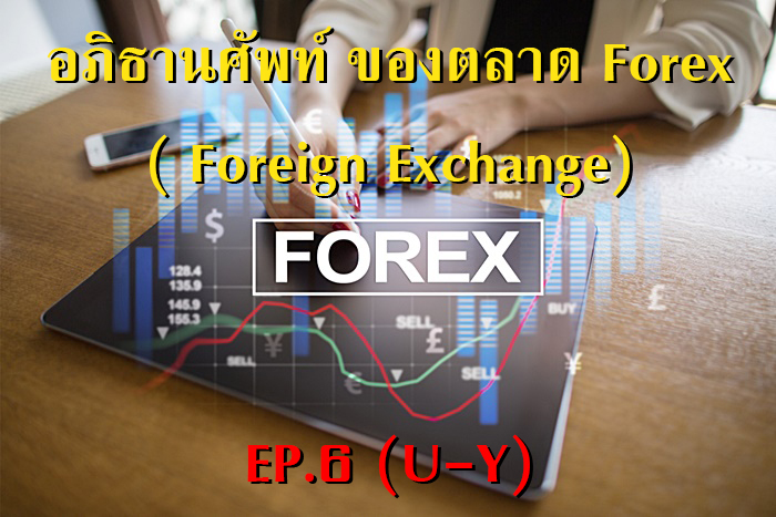 คำศัพท์ในตลาด forex อภิธานศัพท์ ของตลาด Forex ( Foreign Exchange)EP6 (U-Y) - Traderider