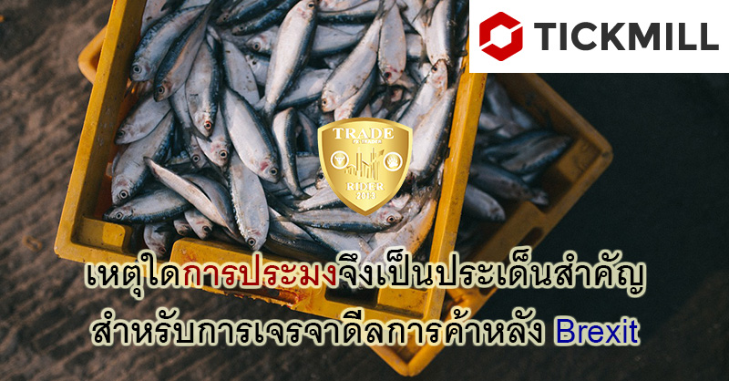 เหตุใดการประมงจึงเป็นประเด็นสำคัญสำหรับการเจรจาดีลการค้าหลัง Brexit - Traderider