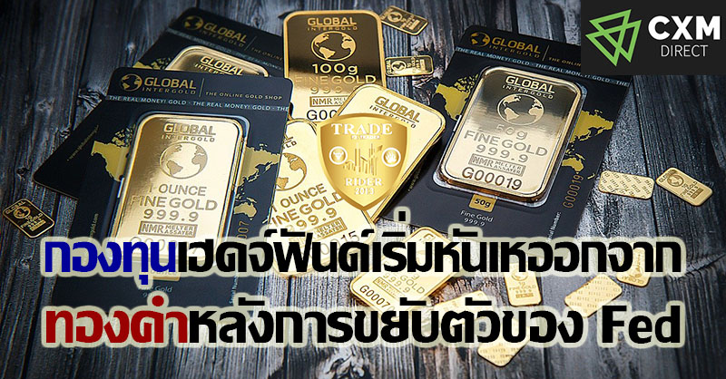 กองทุนเฮดจ์ฟันด์เริ่มหันเหออกจากทองคำหลังการขยับตัวของ Fed - Traderider